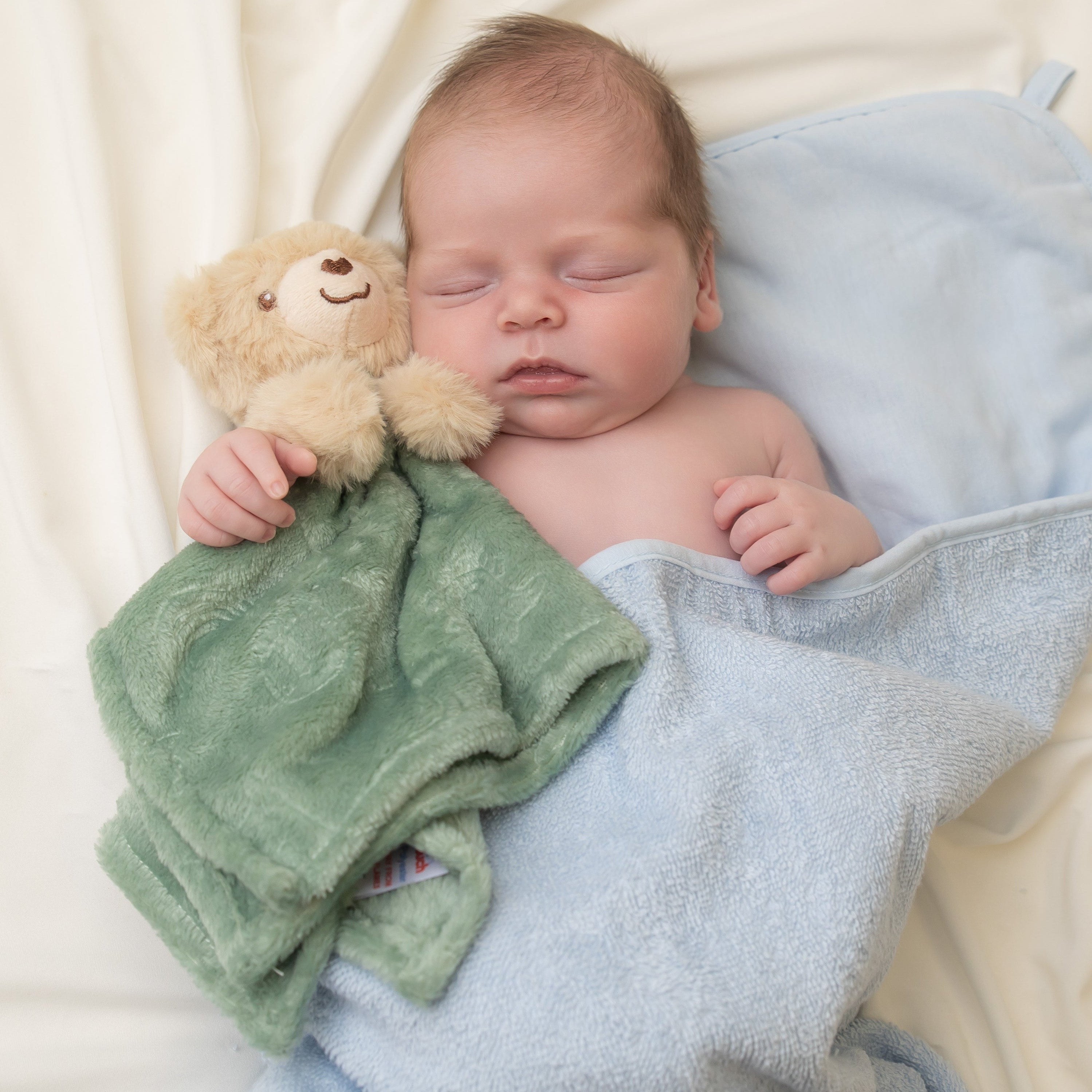 Sage Green Bear & Dinosaurs Comforter – Millie & Ralph